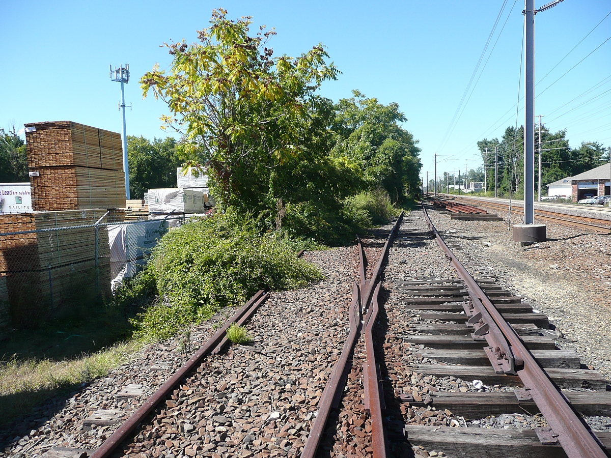 Abandoned Industrial Spur - Abandoned Rails