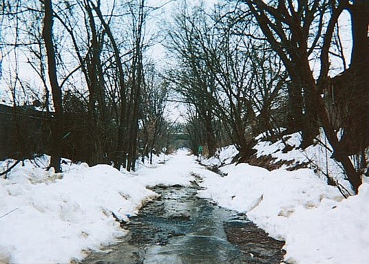 The Georgetown Branch - Abandoned Rails