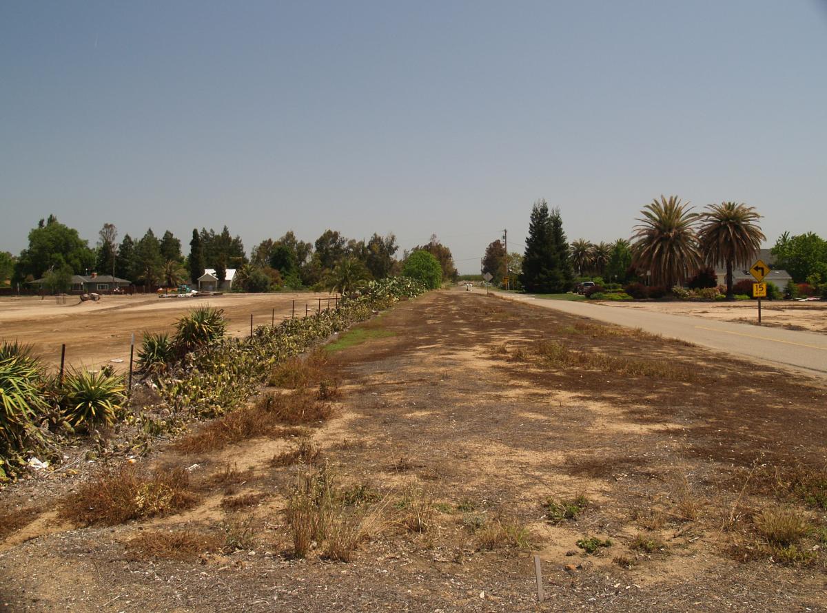 The Milton Branch - Abandoned Rails