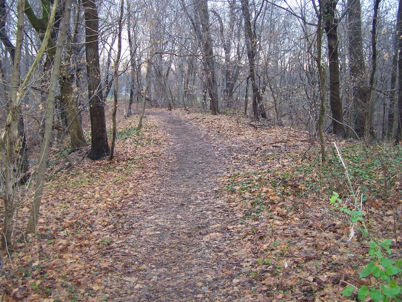 The Medford Branch - Abandoned Rails