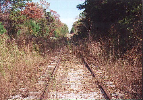 The Texas South-Eastern Railroad - Abandoned Rails