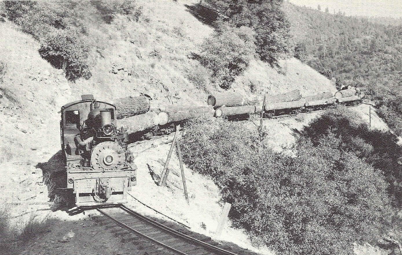 The West Side Lumber Company Railroad - Abandoned Rails