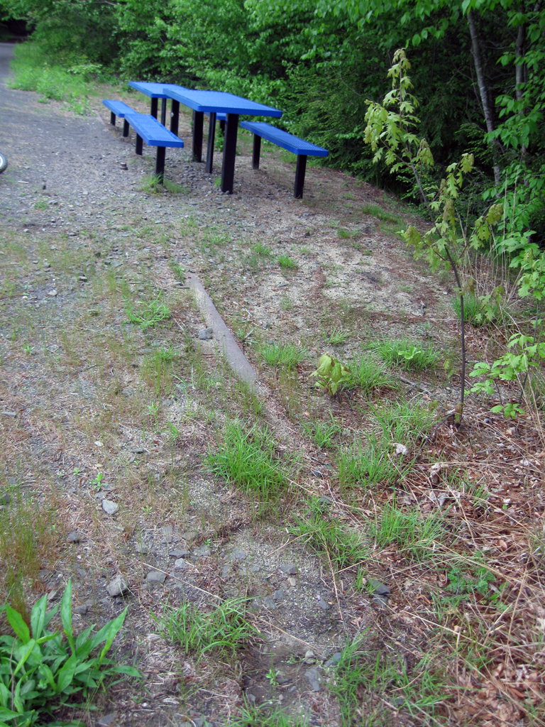 The Air Line - Abandoned Rails