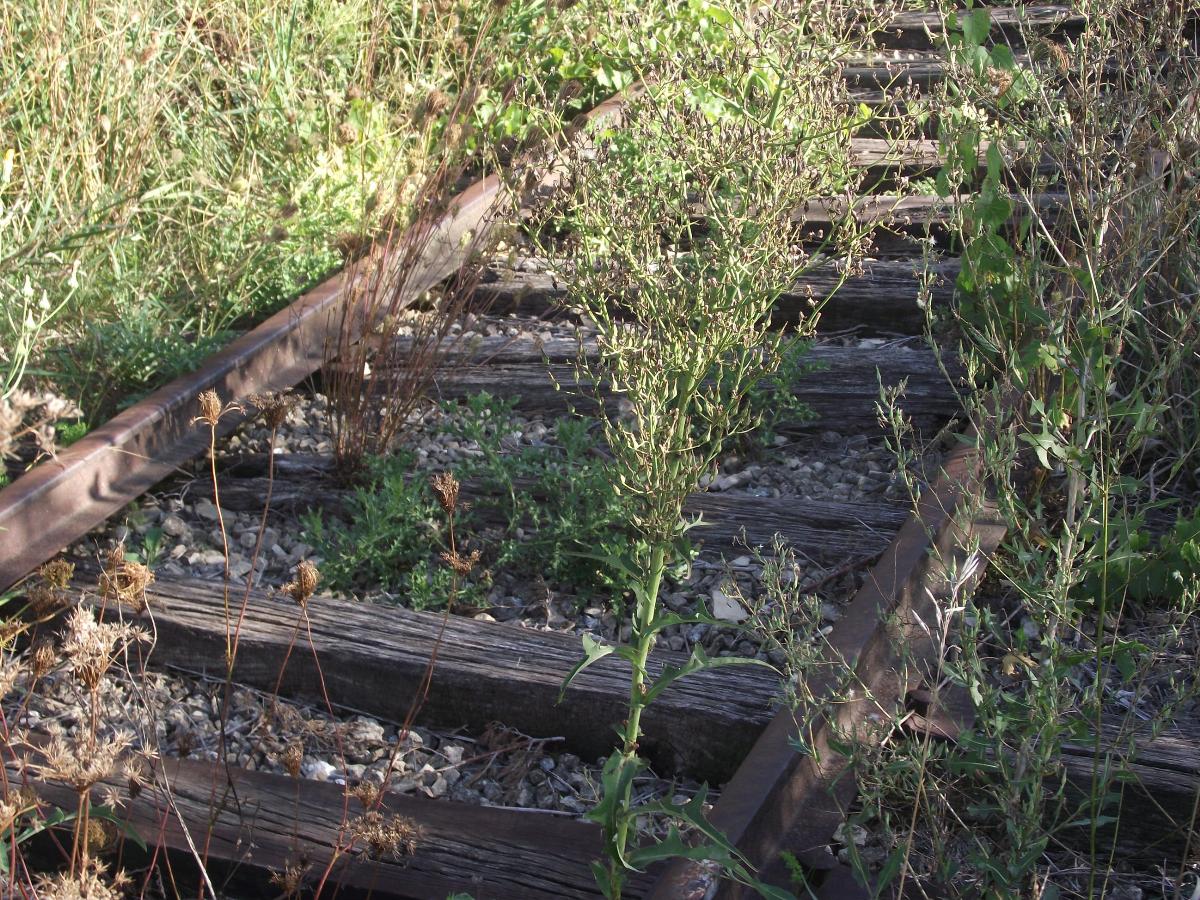 The Gary Line - Abandoned Rails