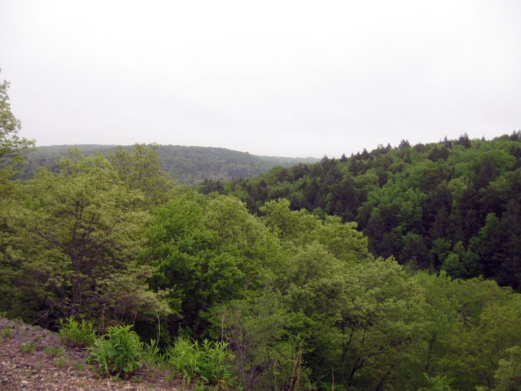 New York & New England Railroad - Abandoned Rails