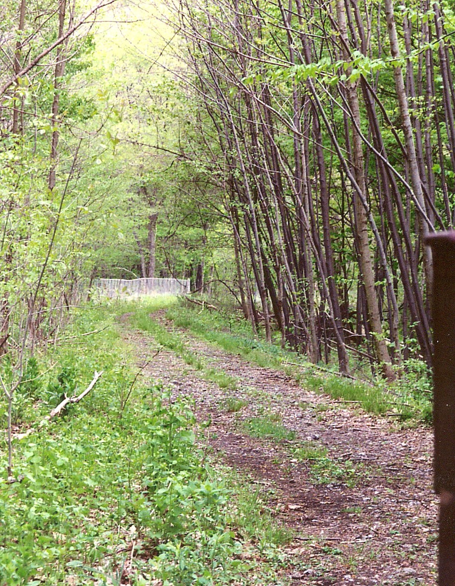 The New Portage Railroad - Abandoned Rails