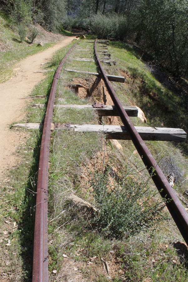 The West Side Lumber Company Railroad - Abandoned Rails