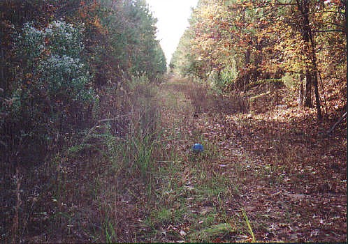 The Texas South-Eastern Railroad - Abandoned Rails